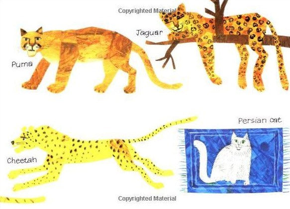 Have You Seen My Cat? – Kolbe Academy Bookstore