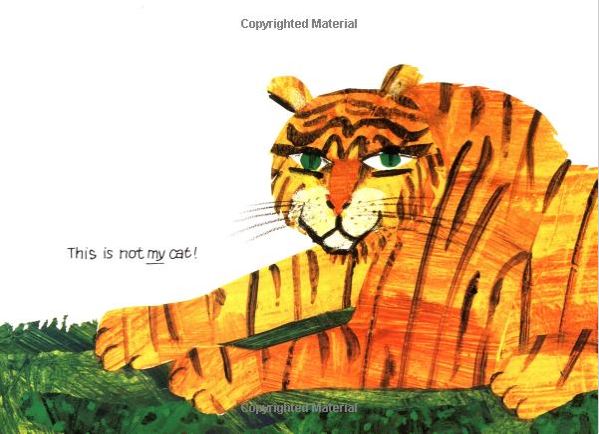 Have You Seen My Cat? – Kolbe Academy Bookstore